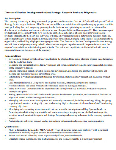 Product Development Strategy - 4+ Examples, Format, Pdf | Examples