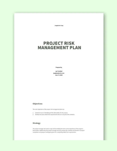 10+ Project Risk Management Plan Examples [ Construction, Research ...