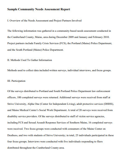 Community Needs Assessment Report - 10+ Examples, Format, Pdf | Examples