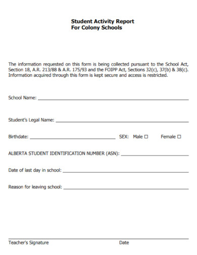 Student Activity Report - 10+ Examples, Format, Pdf | Examples