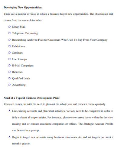 Business Development Plan - 10+ Examples, Format, Pdf | Examples