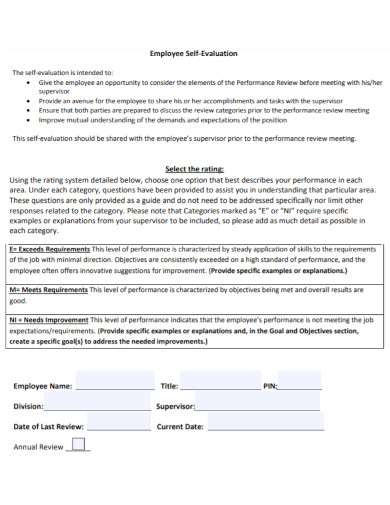 Self Evaluation for Work - 29+ Examples, Format, PDF