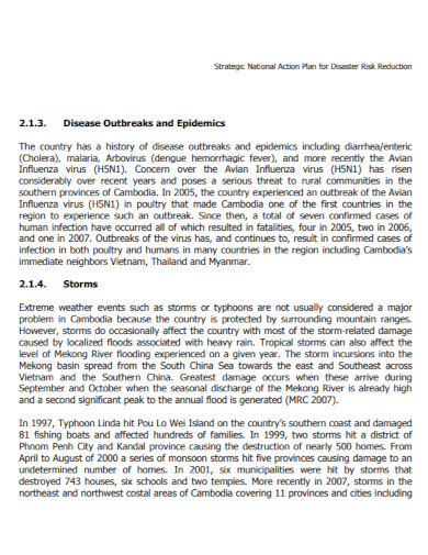 Disaster Action Plan - 10+ Examples, Format, Pdf | Examples