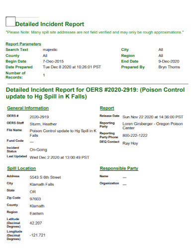 Hotel Incident Report - 3+ Examples, Format, Pdf | Examples