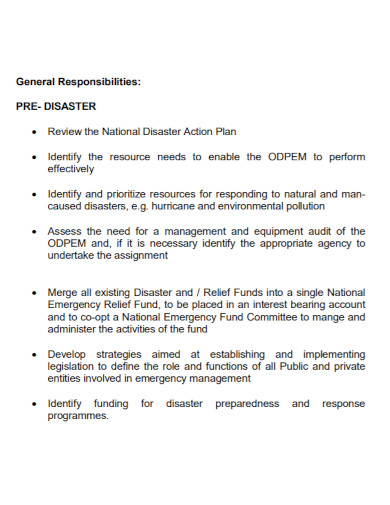Disaster Action Plan - 10+ Examples, Format, Pdf | Examples
