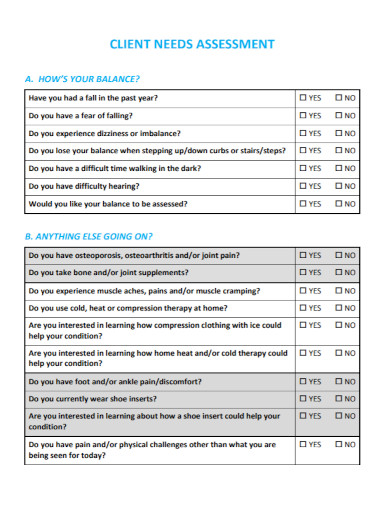 Client Needs Assessment - 10+ Examples, Format, Pdf | Examples