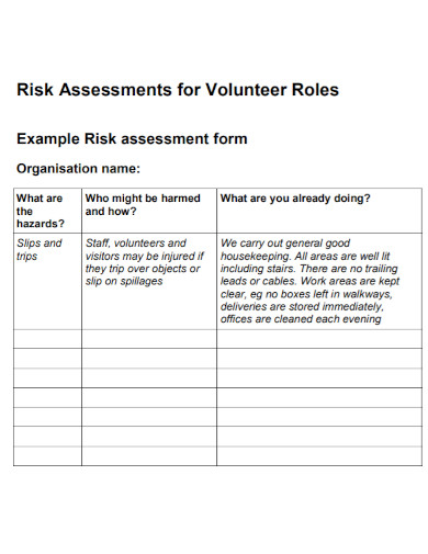Volunteer Risk Assessment - 10+ Examples, Format, Pdf | Examples
