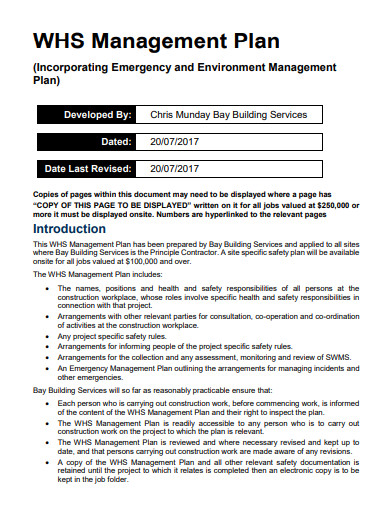 Construction Safety Management Plan - 10+ Examples, Format, Pdf | Examples