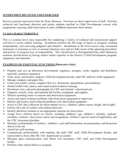  Child Observation Essay Examples Toddler Child Observation Essay 