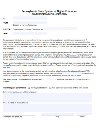 Probationary Evaluation - 10+ Examples, Format, Pdf | Examples