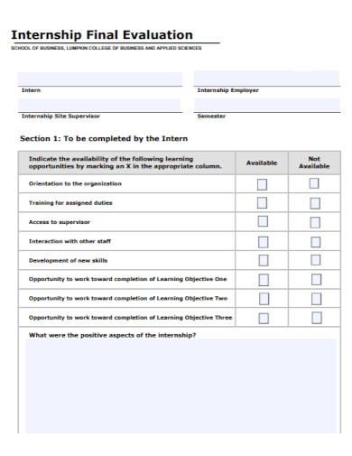  Internship Evaluation Report Sample Internship Experience Essay Sample 2022 11 17