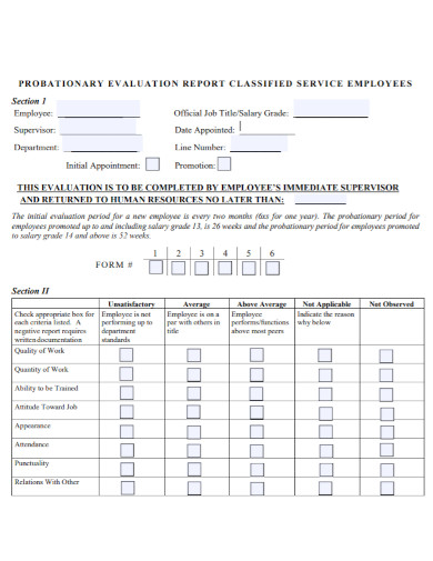 Probationary Evaluation - 10+ Examples, Format, Pdf | Examples