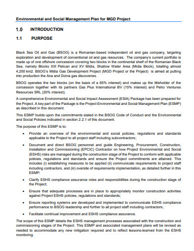 10+ Project Safety Management Plan Examples in PDF | DOC | Examples