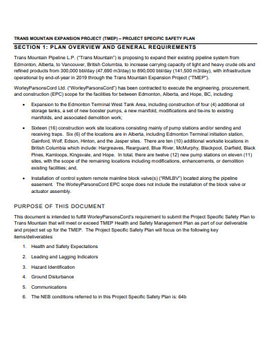 10+ Project Safety Management Plan Examples in PDF | DOC | Examples