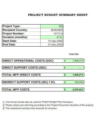 Project Plan Budget - 4+ Examples, How to Create, Format, Pdf