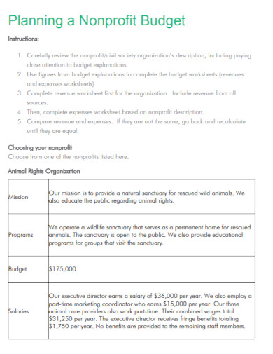 Nonprofit Program Budget - 4+ Examples, How to Create, MS Word, Google ...