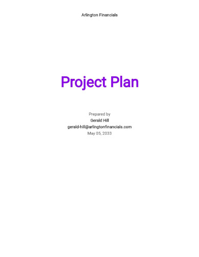 Project Plan Budget - 4+ Examples, How to Create, Format, Pdf
