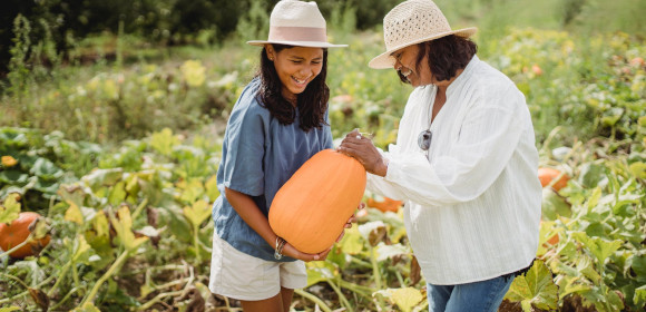 Vegetable Farming Business Plan - 3+ Examples, Format, Pdf | Examples