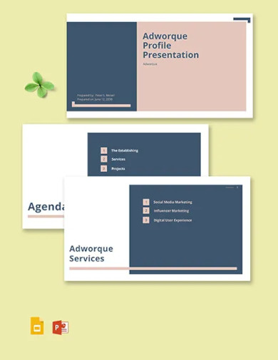 10+ Agency Profile Examples [ Insurance, Property, Sales ] | Examples