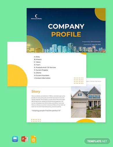 10+ Agency Profile Examples [ Insurance, Property, Sales ] | Examples