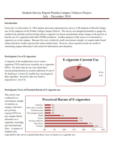 Student Survey Report - 10+ Examples, Format, Pdf | Examples