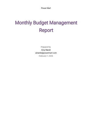 5+ Monthly Budget Management Report Examples in MS Word | Google Docs ...