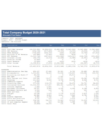 5+ Company Annual Budget Examples in MS Word | Google Docs | Google ...