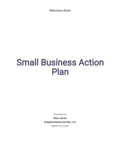 Small Business Action Plan - 10+ Examples, Format, Pdf | Examples