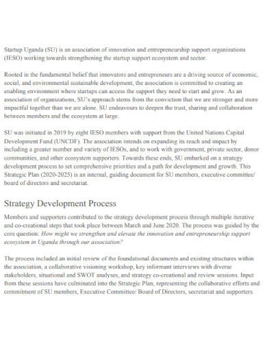 10+ Startup Strategic Plan Examples [ Business, Company, School ...