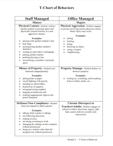 T Chart - Examples, PDF | Examples