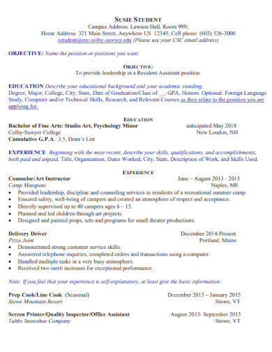 Resume Objective Examples - Format, Sample | Examples