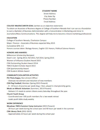 Resume Objective Examples - Format, Sample | Examples