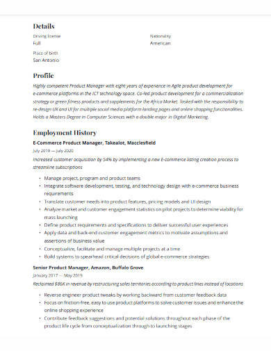 Product Manager Resume - Examples, How to Write, PDF