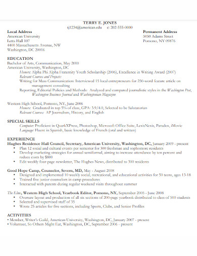 Resume Introduction - Examples, PDF | Examples