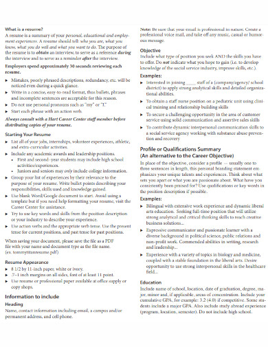 Resume Experience - Examples, PDF | Examples