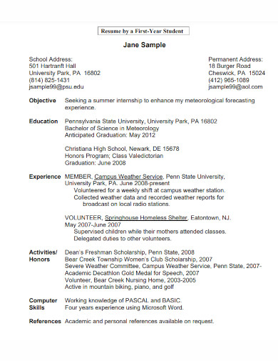 Resume Experience - Examples, PDF | Examples