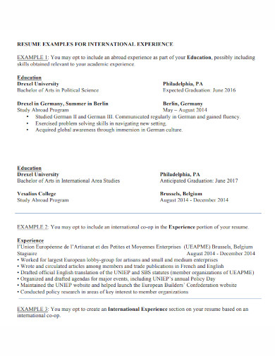 Resume Experience - Examples, PDF | Examples