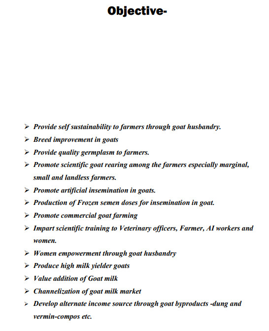 Objective - Examples, PDF | Examples