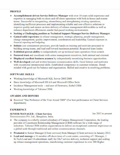 Product Manager Resume - Examples, How to Write, PDF