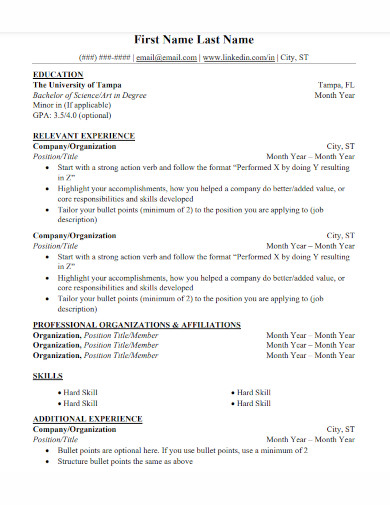 Resume Experience Examples PDF Examples