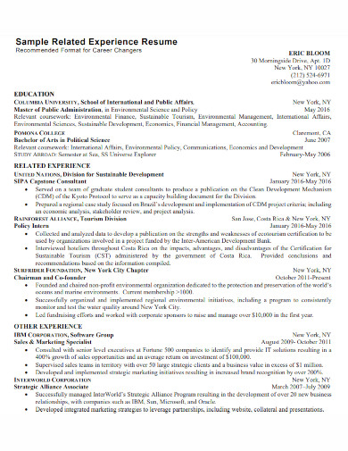 Resume Experience - Examples, PDF | Examples