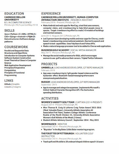 Resume Introduction - Examples, PDF | Examples