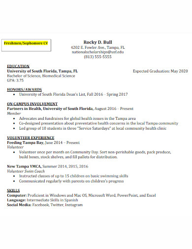 Resume Experience - Examples, PDF | Examples