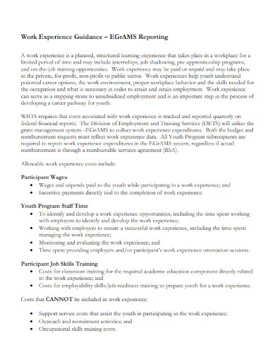 Work Experience - Examples, PDF | Examples