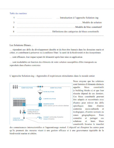 Solution Template - Examples, PDF | Examples
