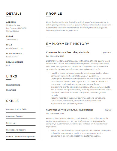 Customer Service Resume - Examples, PDF | Examples