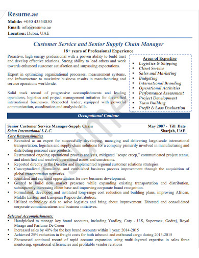 Customer Service Resume - Examples, PDF | Examples