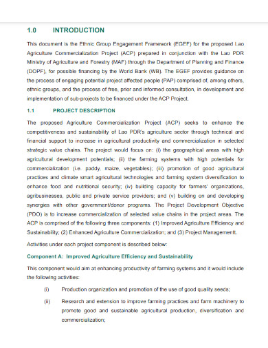 Ethnic Group - 17+ Examples, How To Identify, PDF