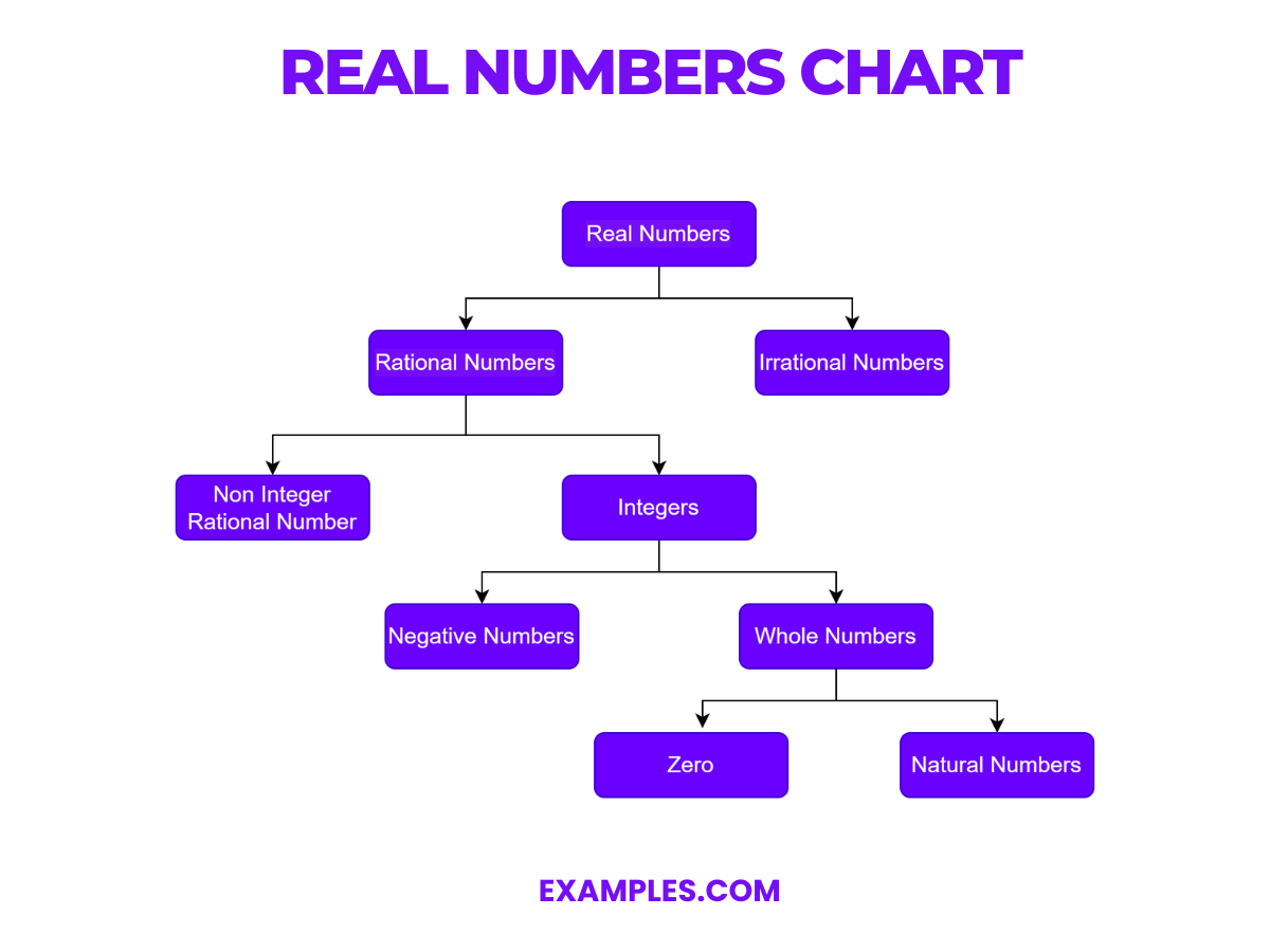 Real Numbers - 7+ Examples, How To Discern