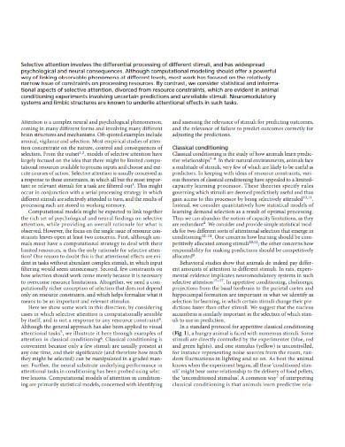 Selective Attention - Examples, PDF | Examples